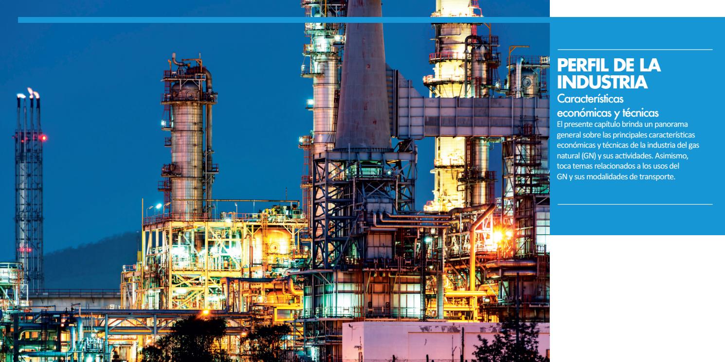 La in dustria del Gas Natural en el Perú. A diez años del Proyecto ...