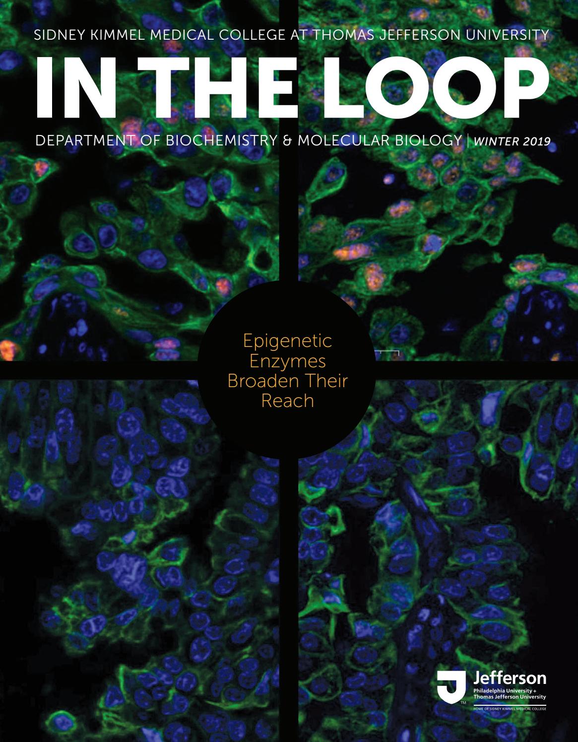 Jefferson University | Biochemistry & Molecular Biology | In the Loop ...