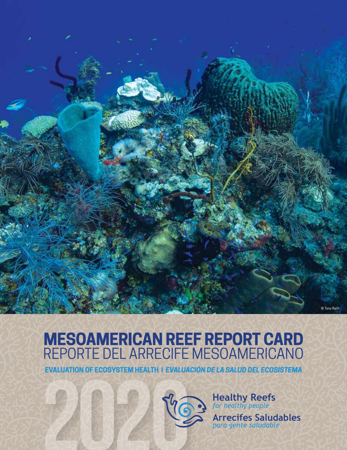 Smithsonian Healthy Reefs Report Card 2020 by Studiorod - Issuu