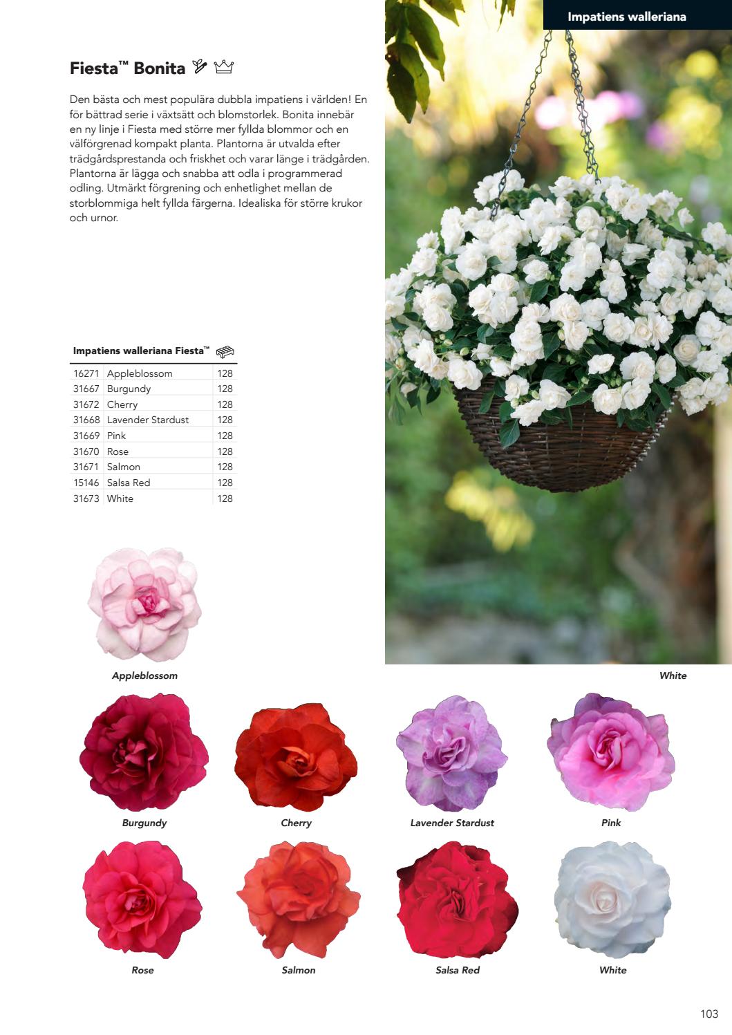 Florensis annueller 2021 by Owe Dahlqvist - Issuu