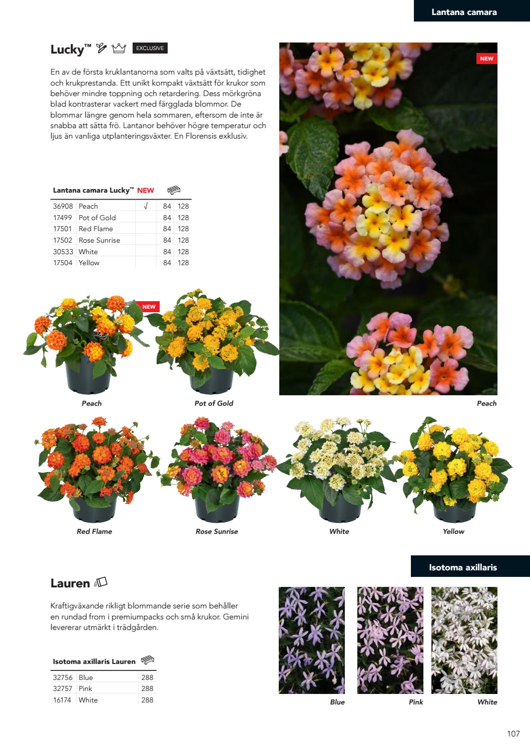 Florensis annueller 2021 by Owe Dahlqvist - Issuu