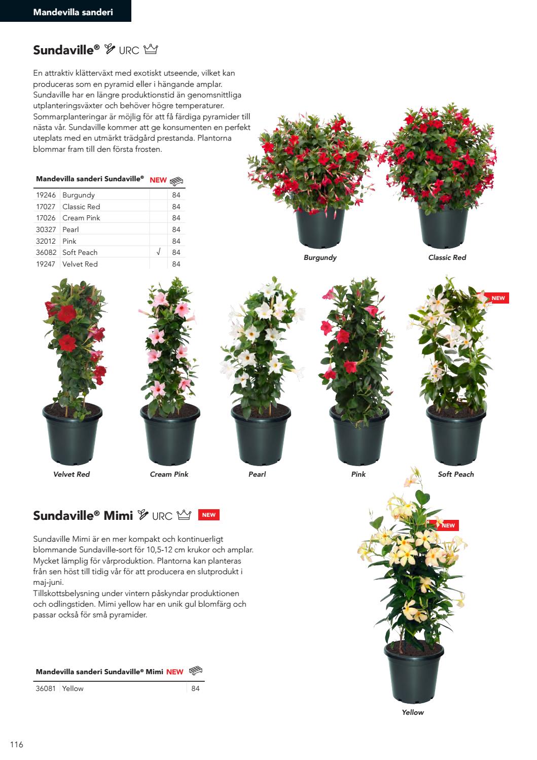 Florensis annueller 2021 by Owe Dahlqvist - Issuu