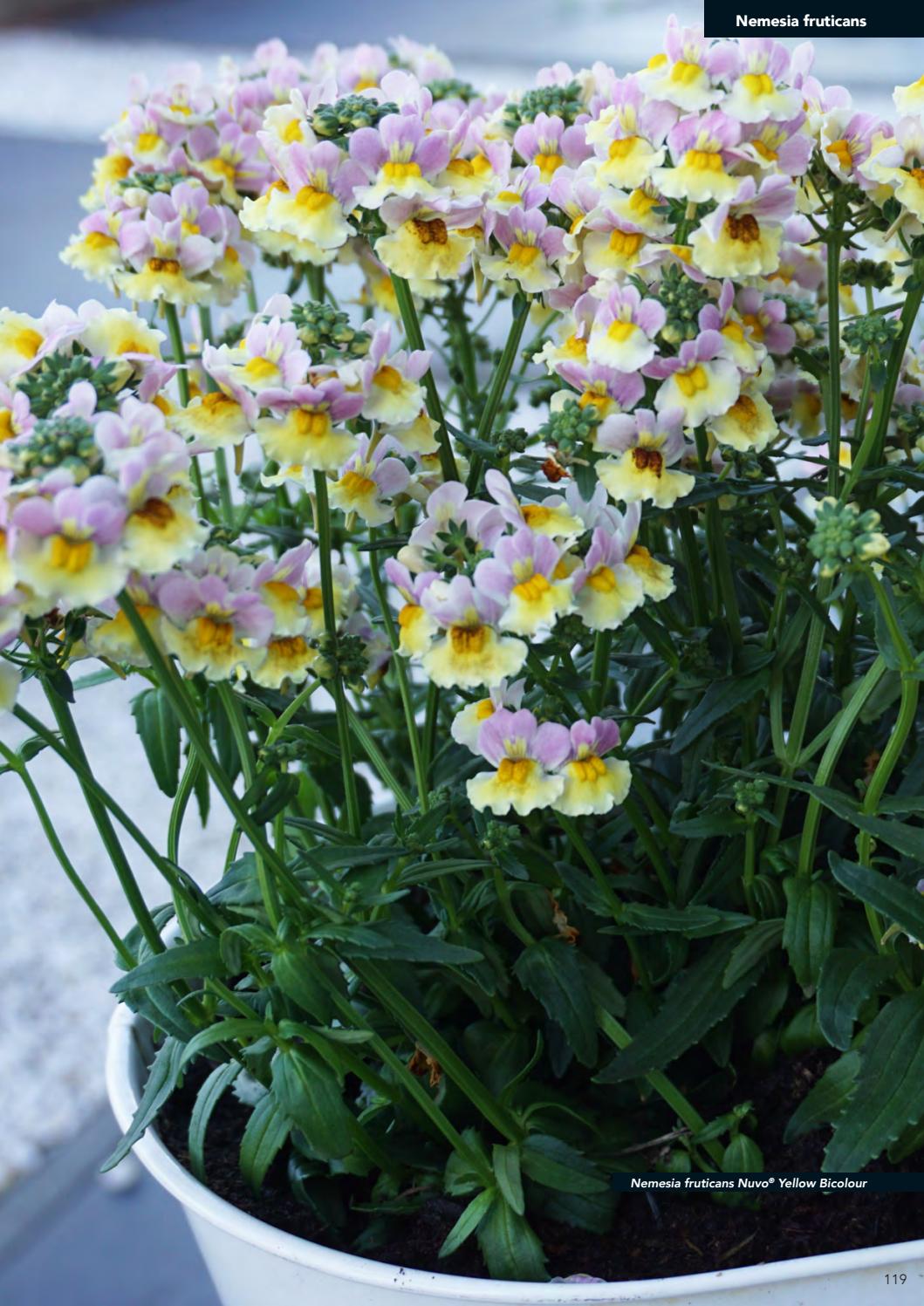 Florensis annueller 2021 by Owe Dahlqvist - Issuu