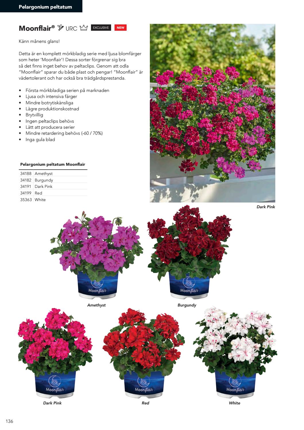 Florensis annueller 2021 by Owe Dahlqvist - Issuu