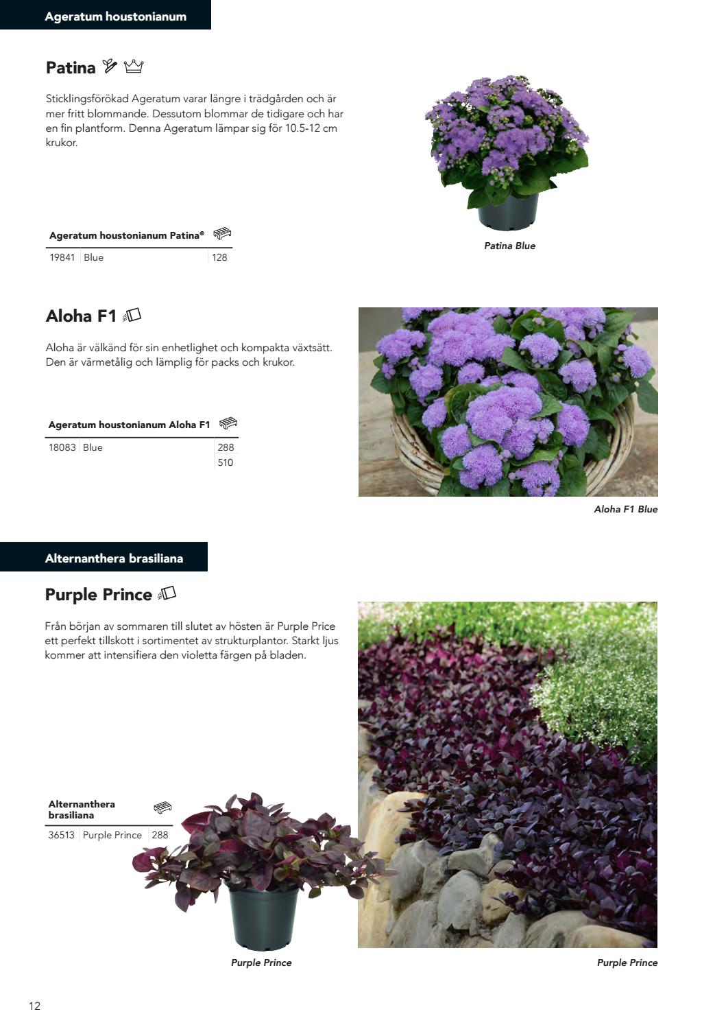 Florensis annueller 2021 by Owe Dahlqvist - Issuu