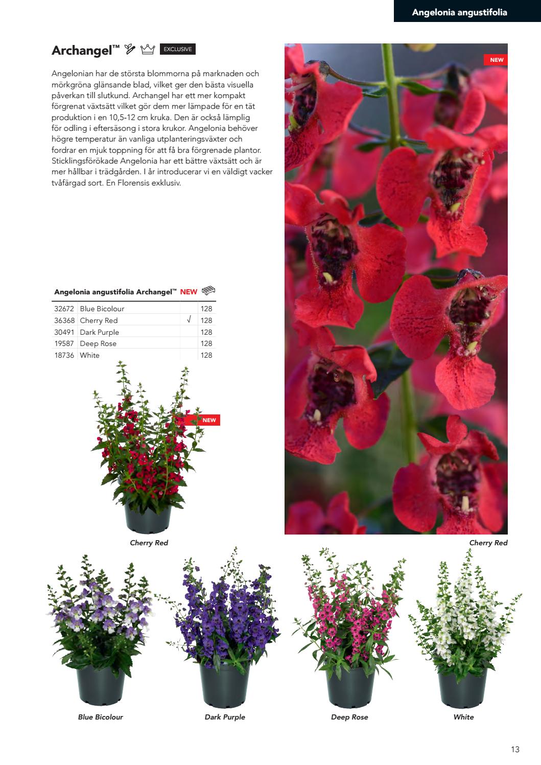 Florensis annueller 2021 by Owe Dahlqvist - Issuu