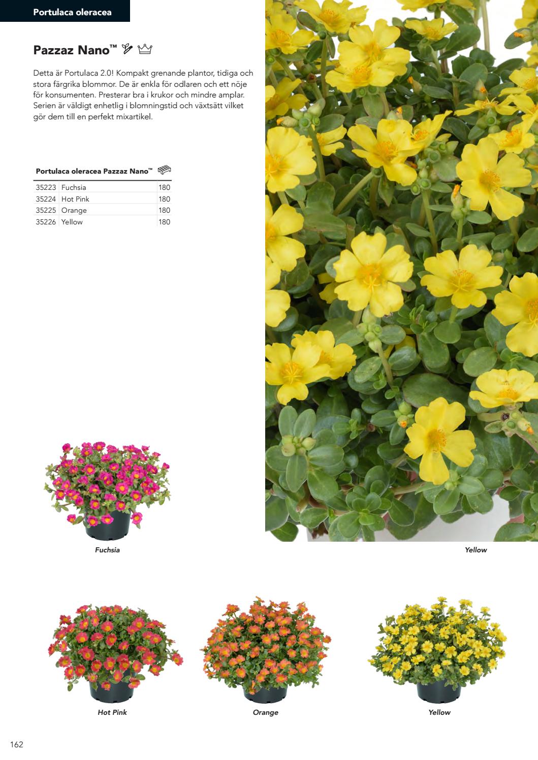 Florensis annueller 2021 by Owe Dahlqvist - Issuu