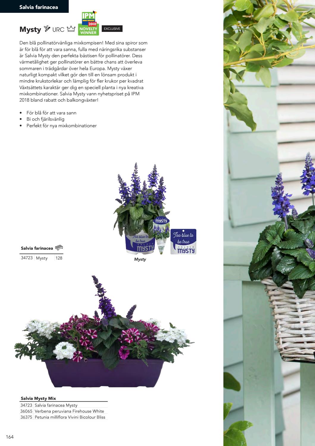 Florensis annueller 2021 by Owe Dahlqvist - Issuu