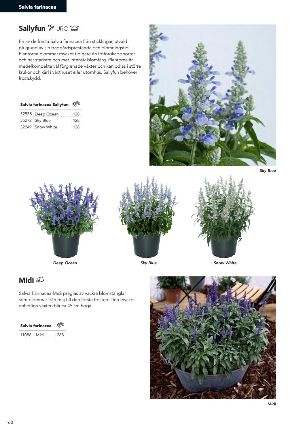 Florensis annueller 2021 by Owe Dahlqvist - Issuu