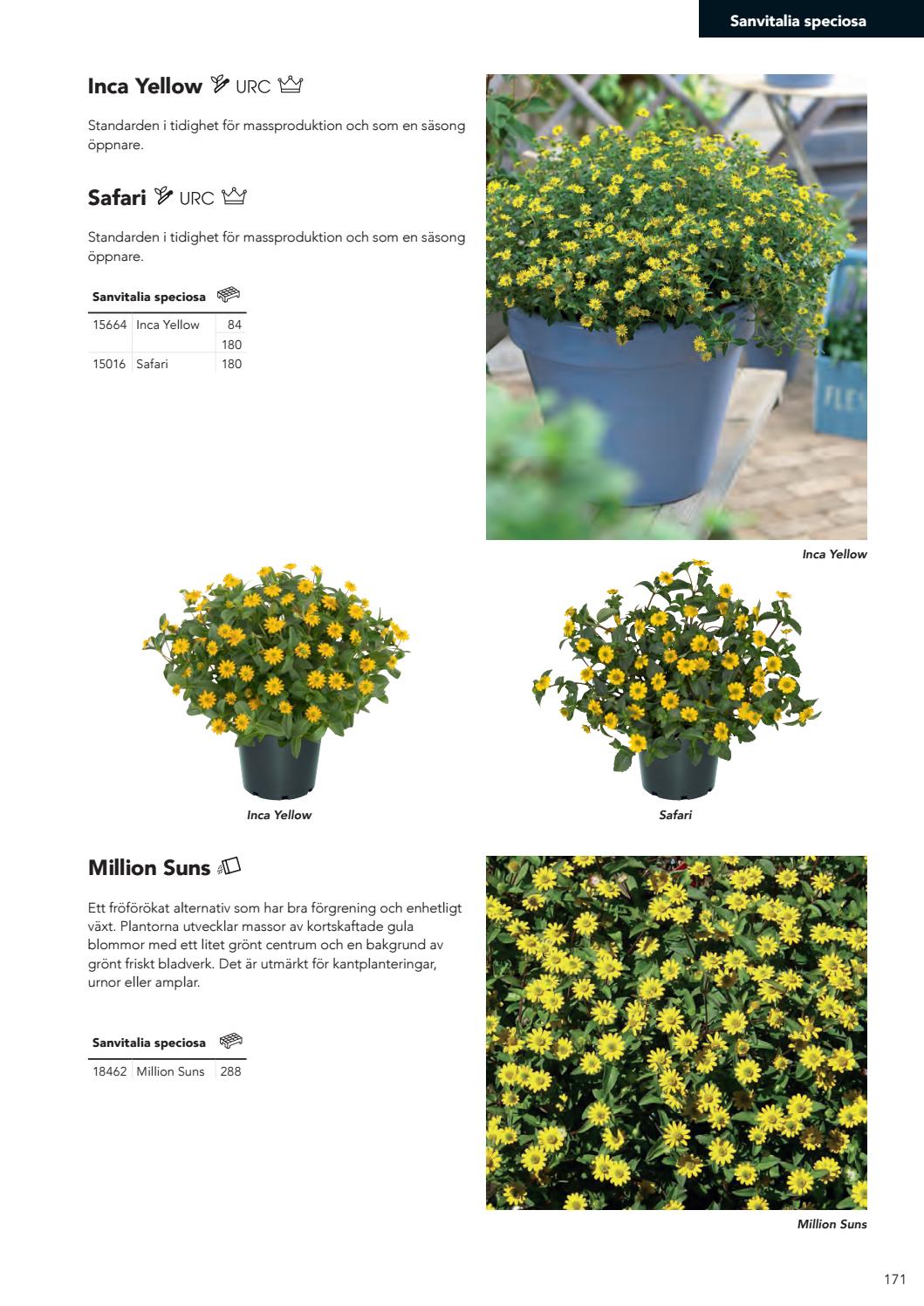 Florensis annueller 2021 by Owe Dahlqvist - Issuu