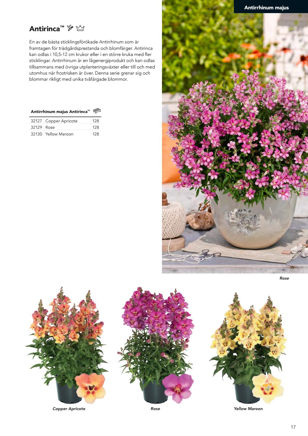 Florensis annueller 2021 by Owe Dahlqvist - Issuu