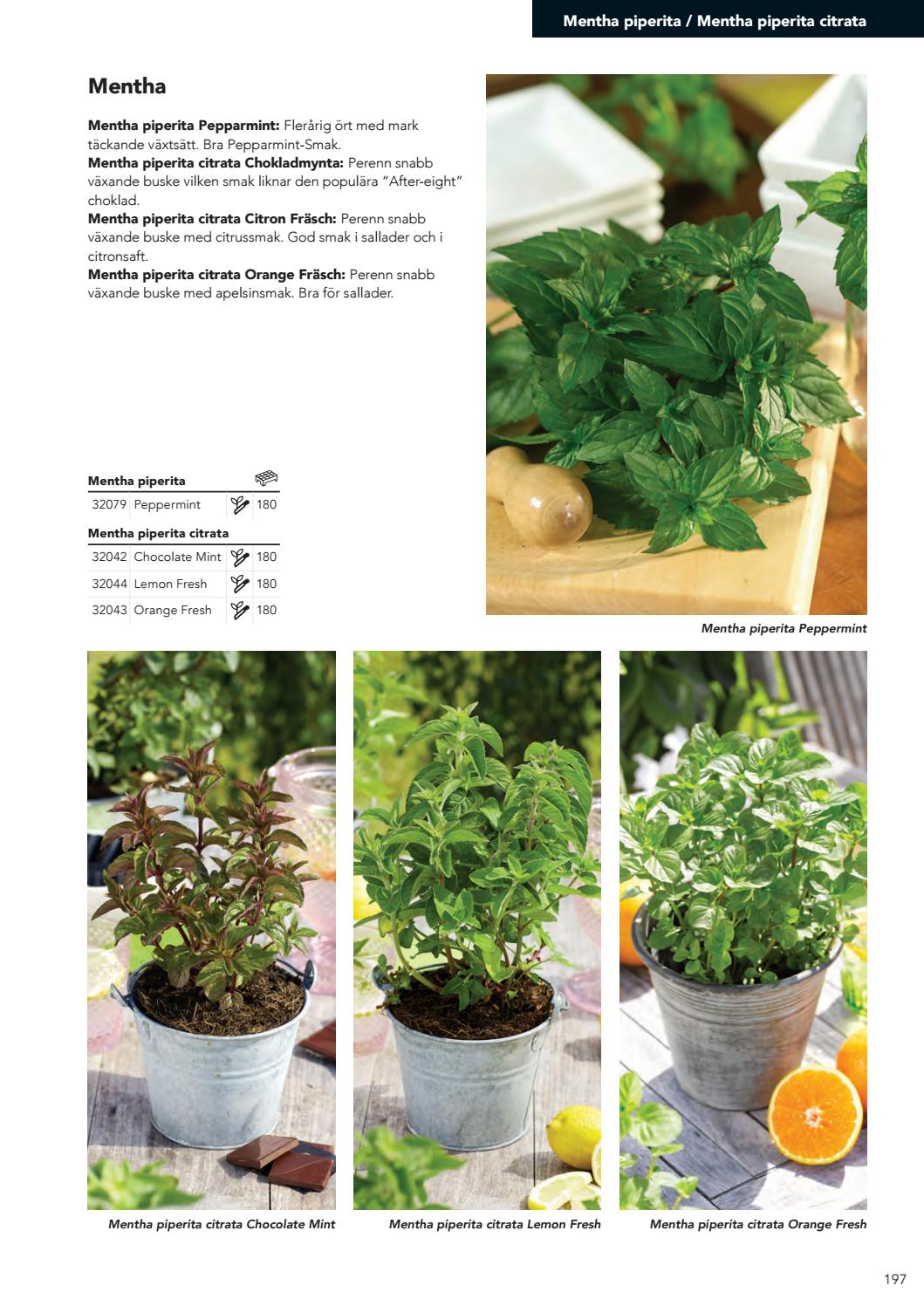 Florensis annueller 2021 by Owe Dahlqvist - Issuu