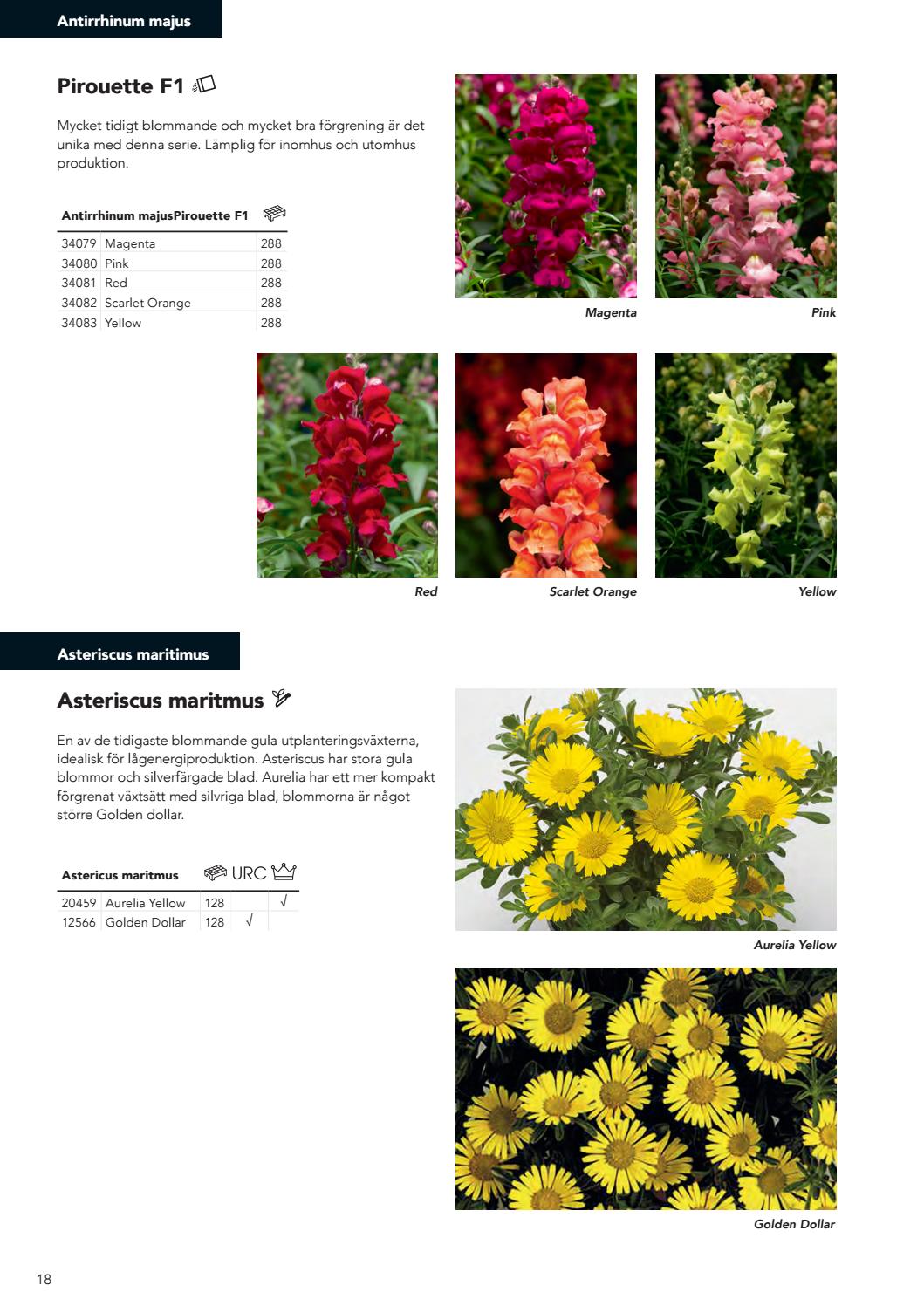 Florensis annueller 2021 by Owe Dahlqvist - Issuu