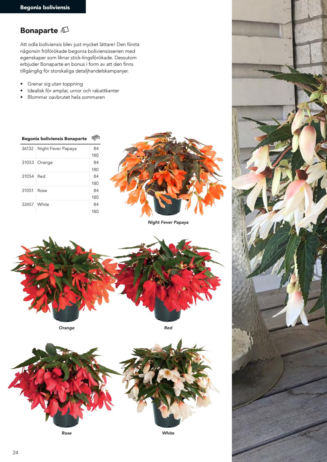 Florensis annueller 2021 by Owe Dahlqvist - Issuu