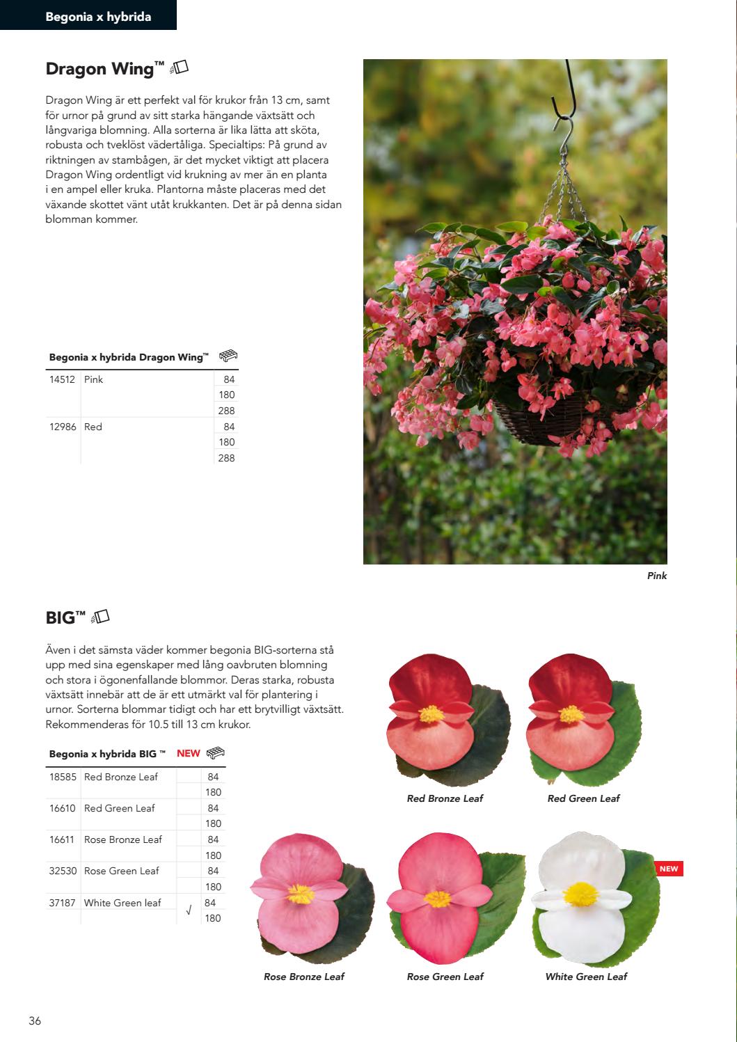 Florensis annueller 2021 by Owe Dahlqvist - Issuu