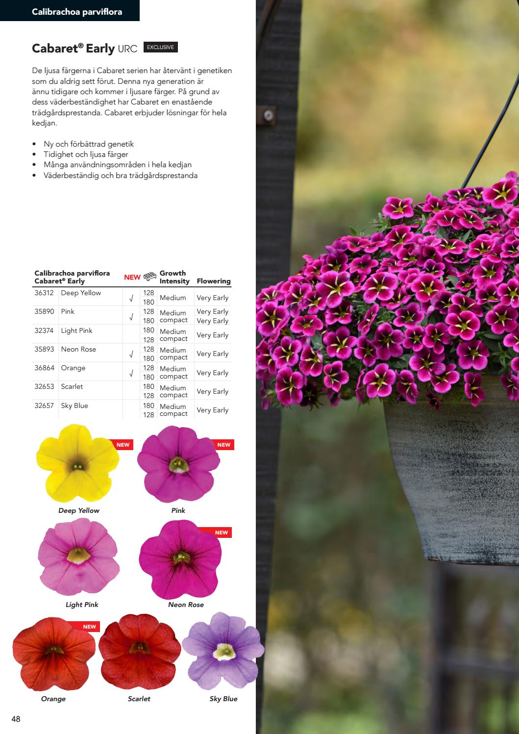 Florensis annueller 2021 by Owe Dahlqvist - Issuu