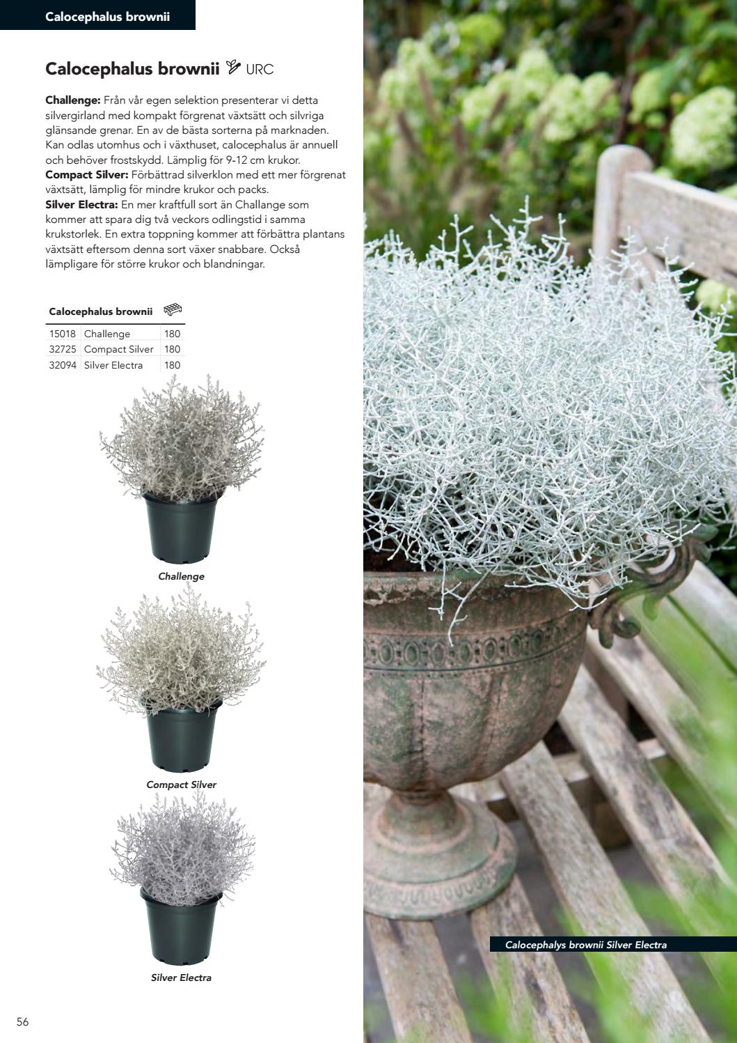 Florensis annueller 2021 by Owe Dahlqvist - Issuu