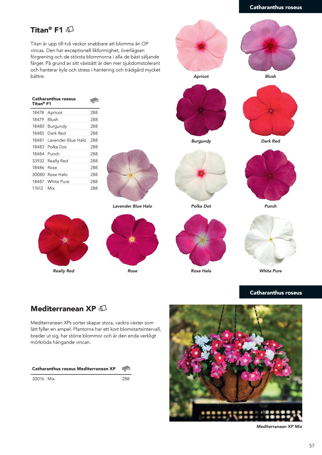 Florensis annueller 2021 by Owe Dahlqvist - Issuu