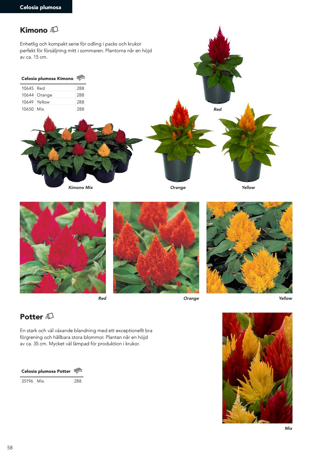 Florensis annueller 2021 by Owe Dahlqvist - Issuu