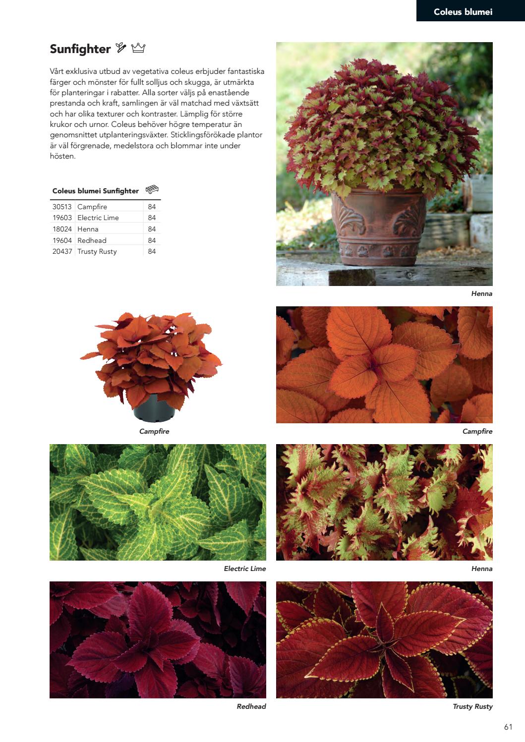 Florensis annueller 2021 by Owe Dahlqvist - Issuu