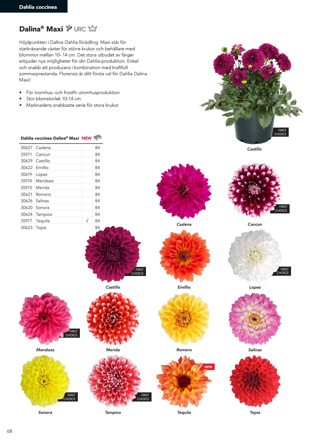 Florensis annueller 2021 by Owe Dahlqvist - Issuu