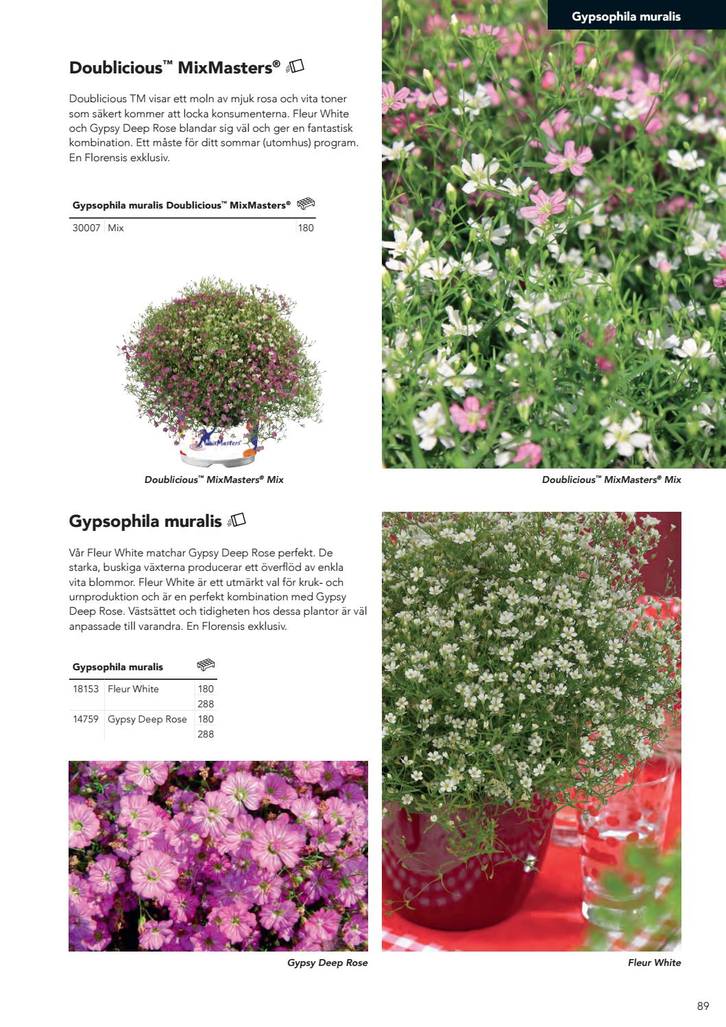 Florensis annueller 2021 by Owe Dahlqvist - Issuu