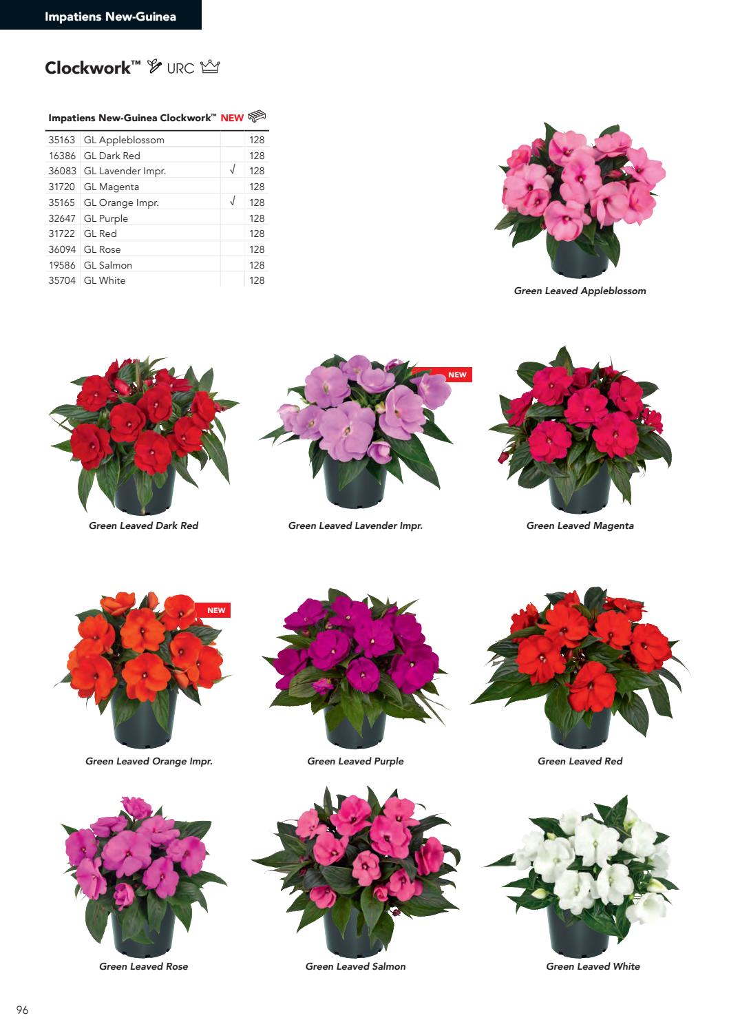 Florensis annueller 2021 by Owe Dahlqvist - Issuu