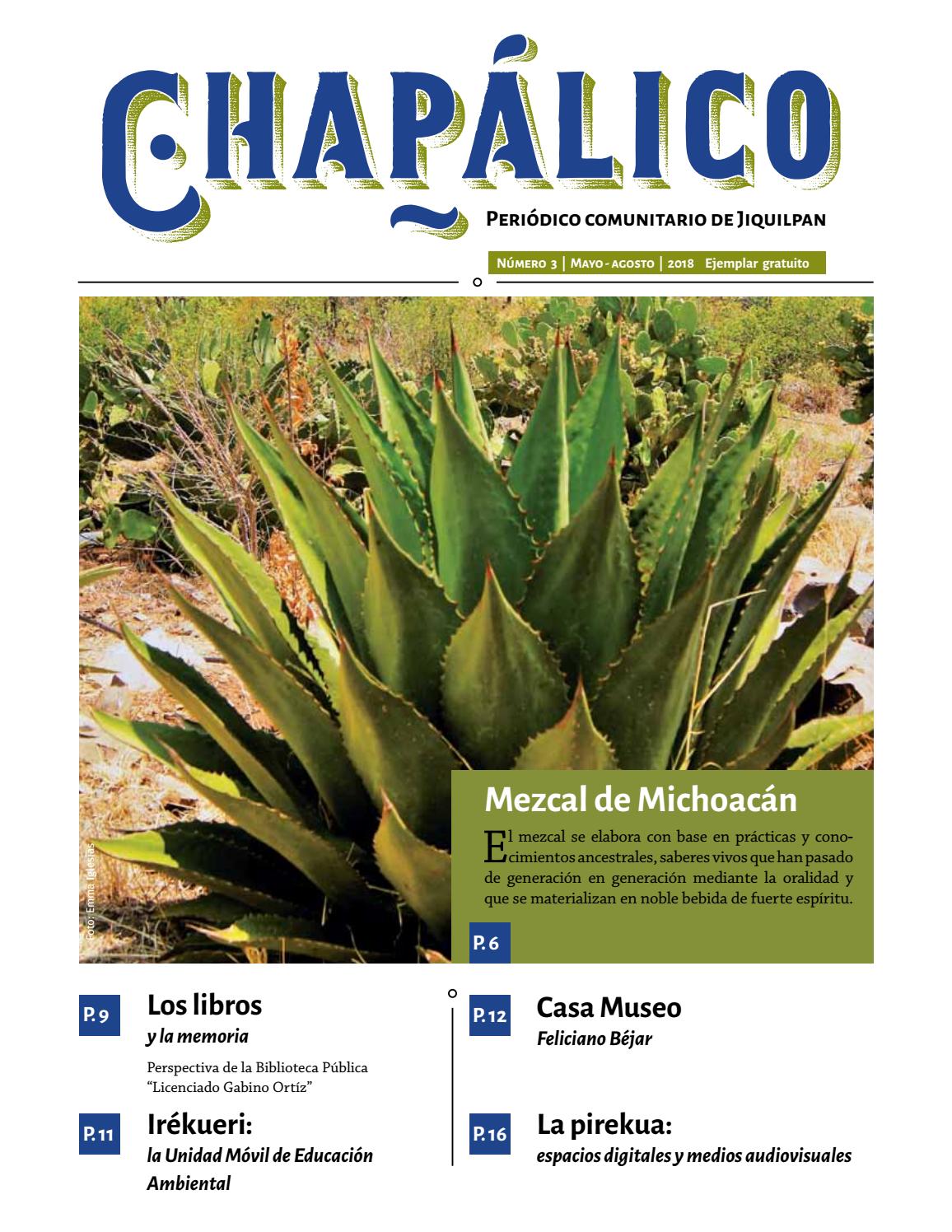 Periódico comunitario de Jiquilpan . Chapálico #3 by Emma Flash - Issuu