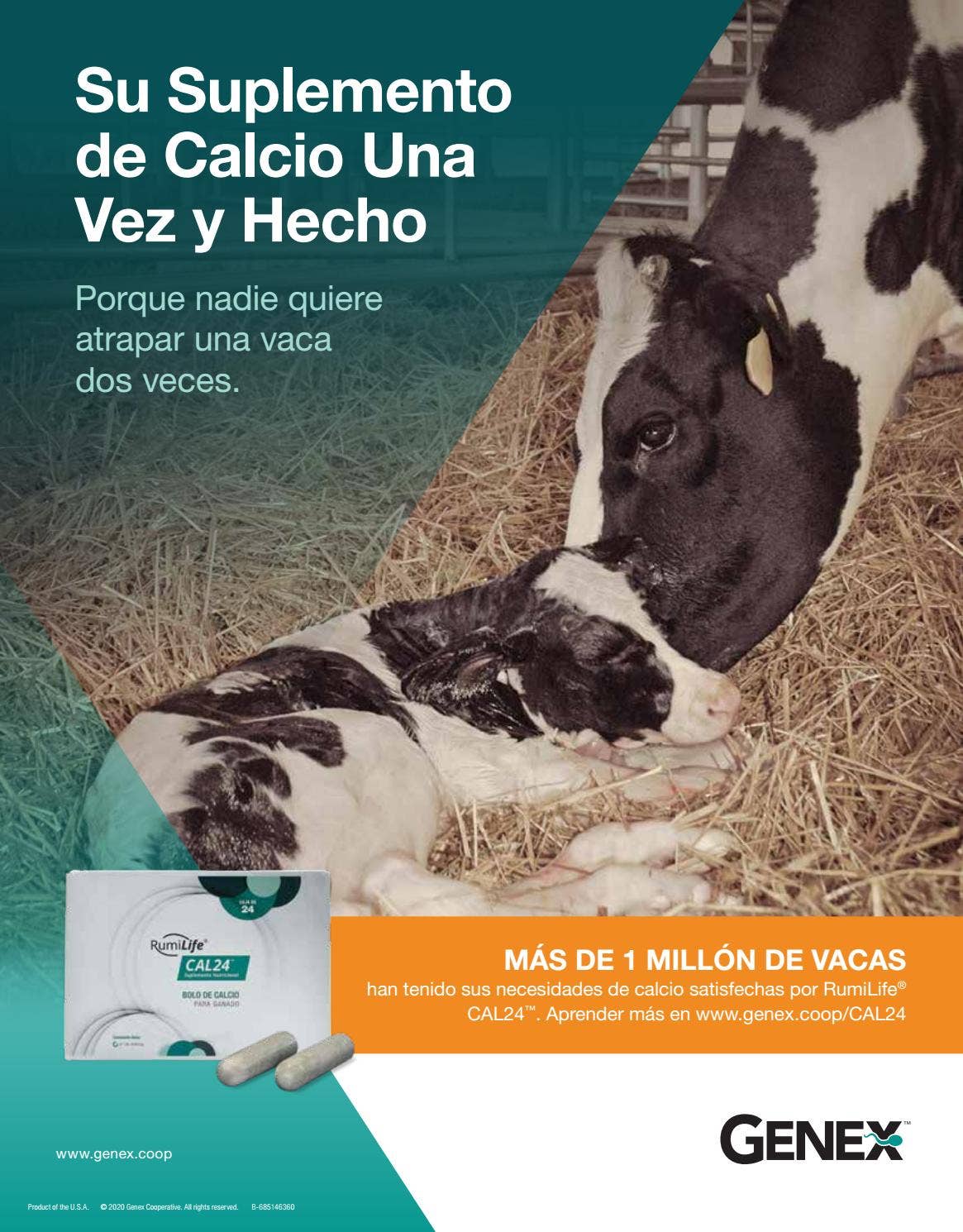 Catálogo Holstein, Agosto 2020 by GENEX - Issuu
