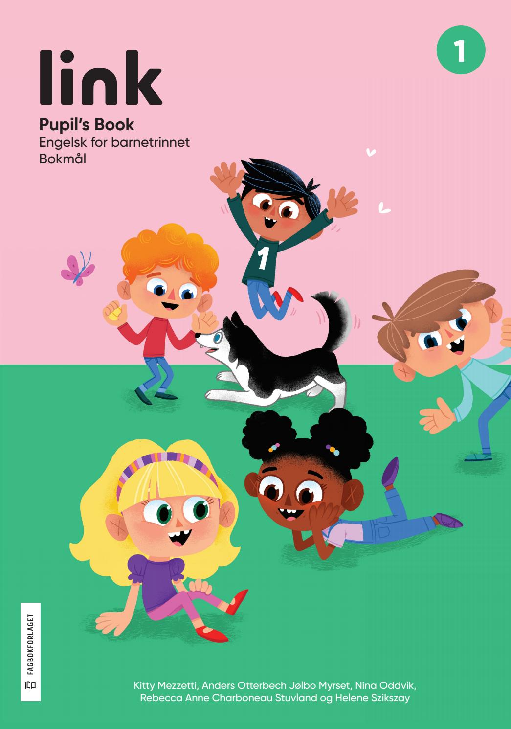 link 1 Pupils book BM (9788211028068) by Fagbokforlaget - Issuu