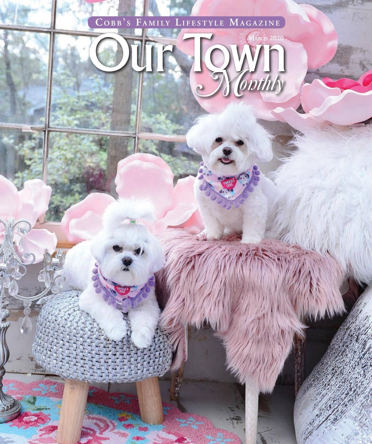 Our Town Monthly March 2020 by Tara Hill Hanover - Issuu