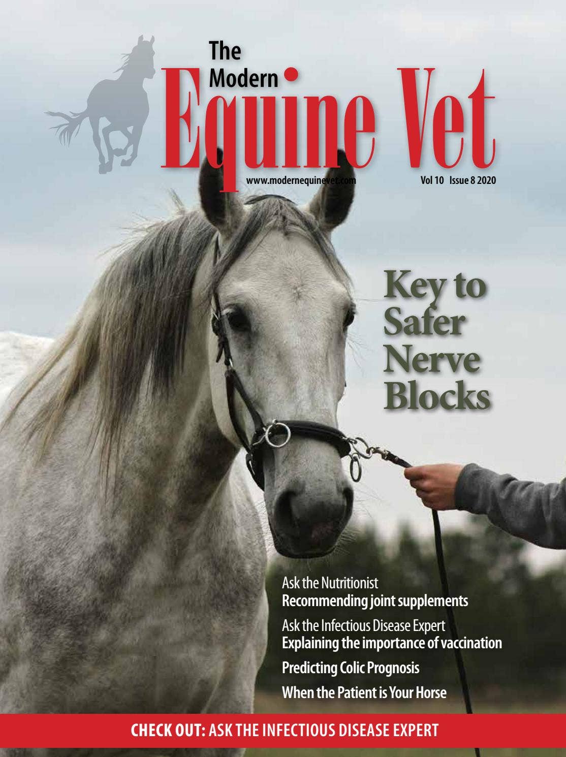 The Modern Equine Vet - August 2020 by The Modern Equine Vet - Issuu