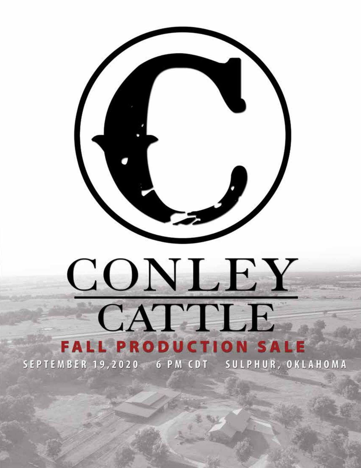 2020 Conley Cattle Fall Production Sale by SCI - Stephanie Cronin, INC ...