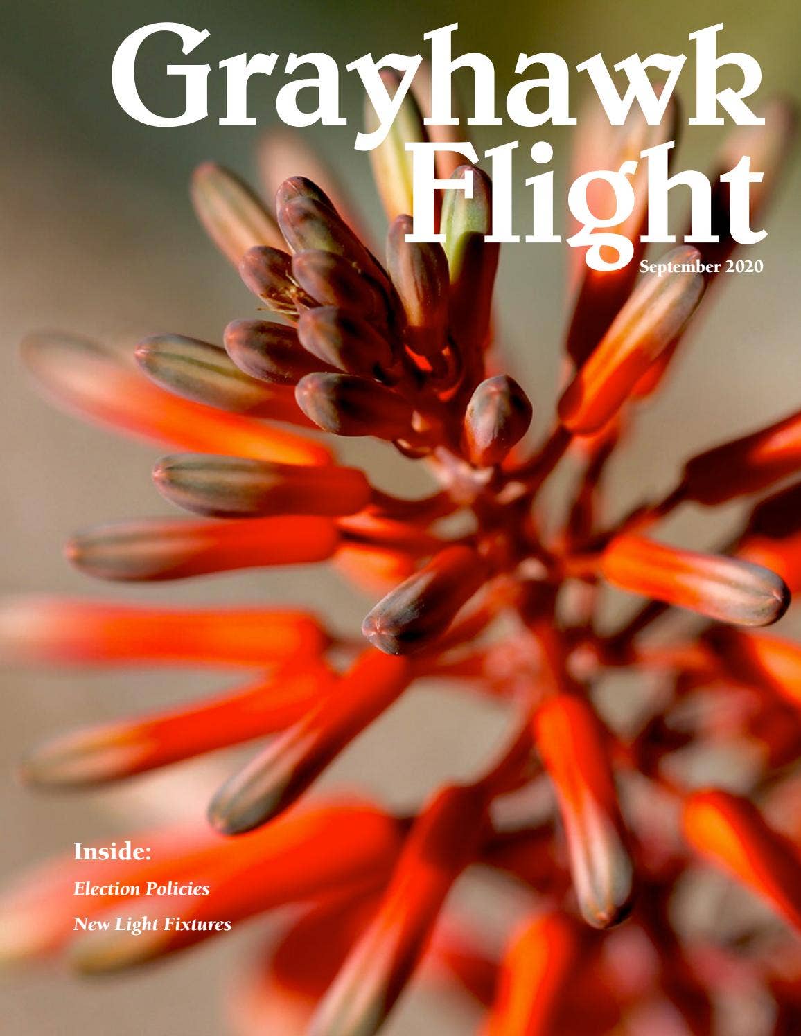 The Grayhawk Flight- September 2020 by Grayhawk Flight - Issuu