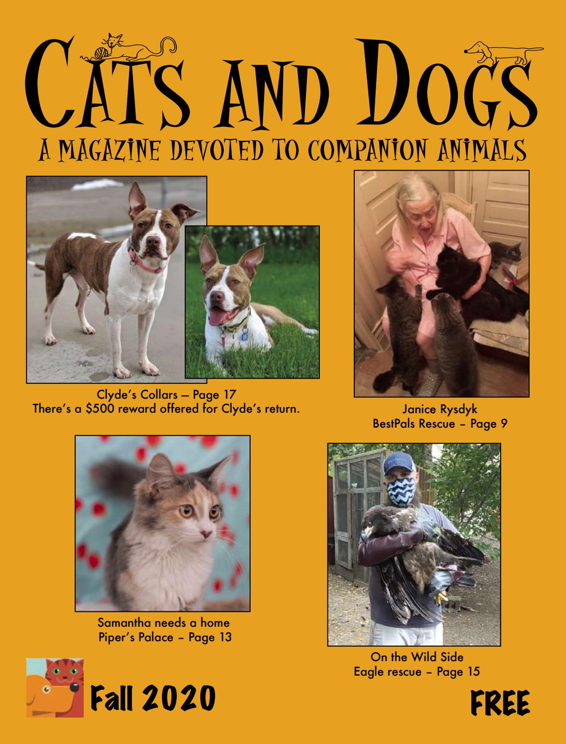 Cats and Dogs, a Magazine Devoted to Companion Animals by Cats and Dogs ...