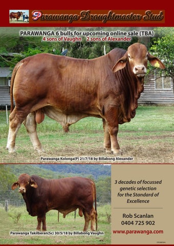 Droughtmaster Magazine August 2020 by Droughtmaster Australia - Issuu