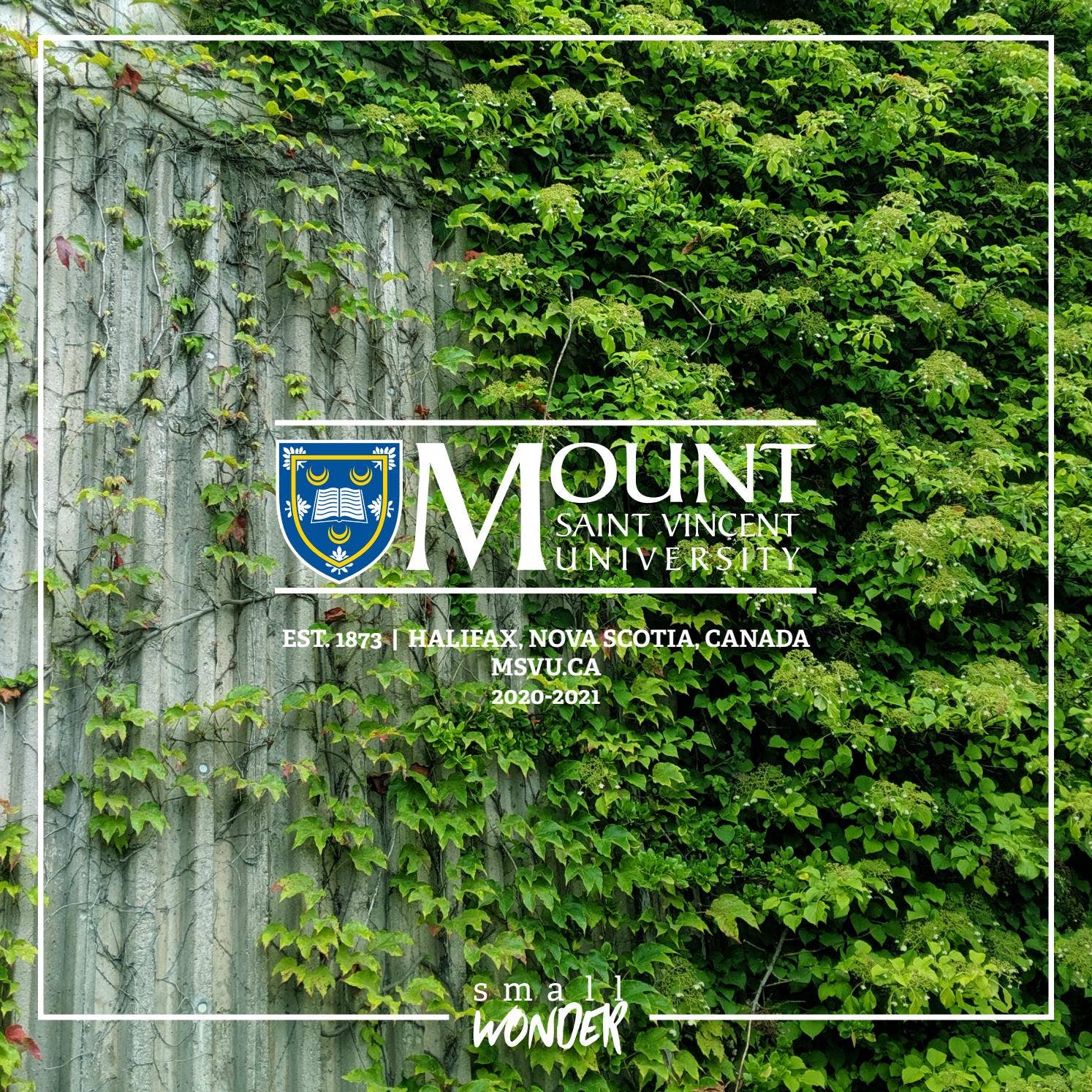 MSVU International Viewbook 2020-2021 by Mount Saint Vincent University ...