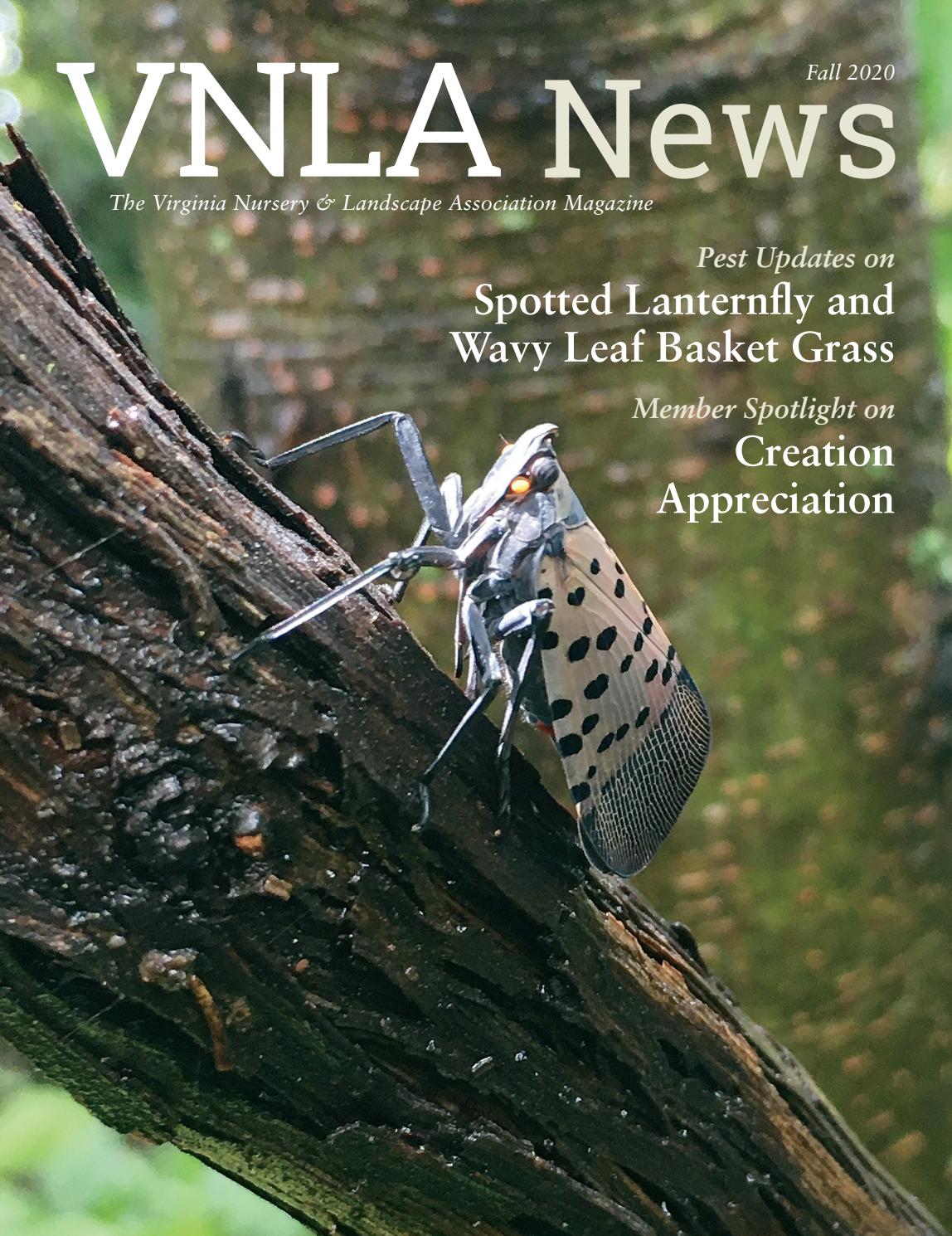 VNLA News - Fall 2020 by leadingedgepubs - Issuu