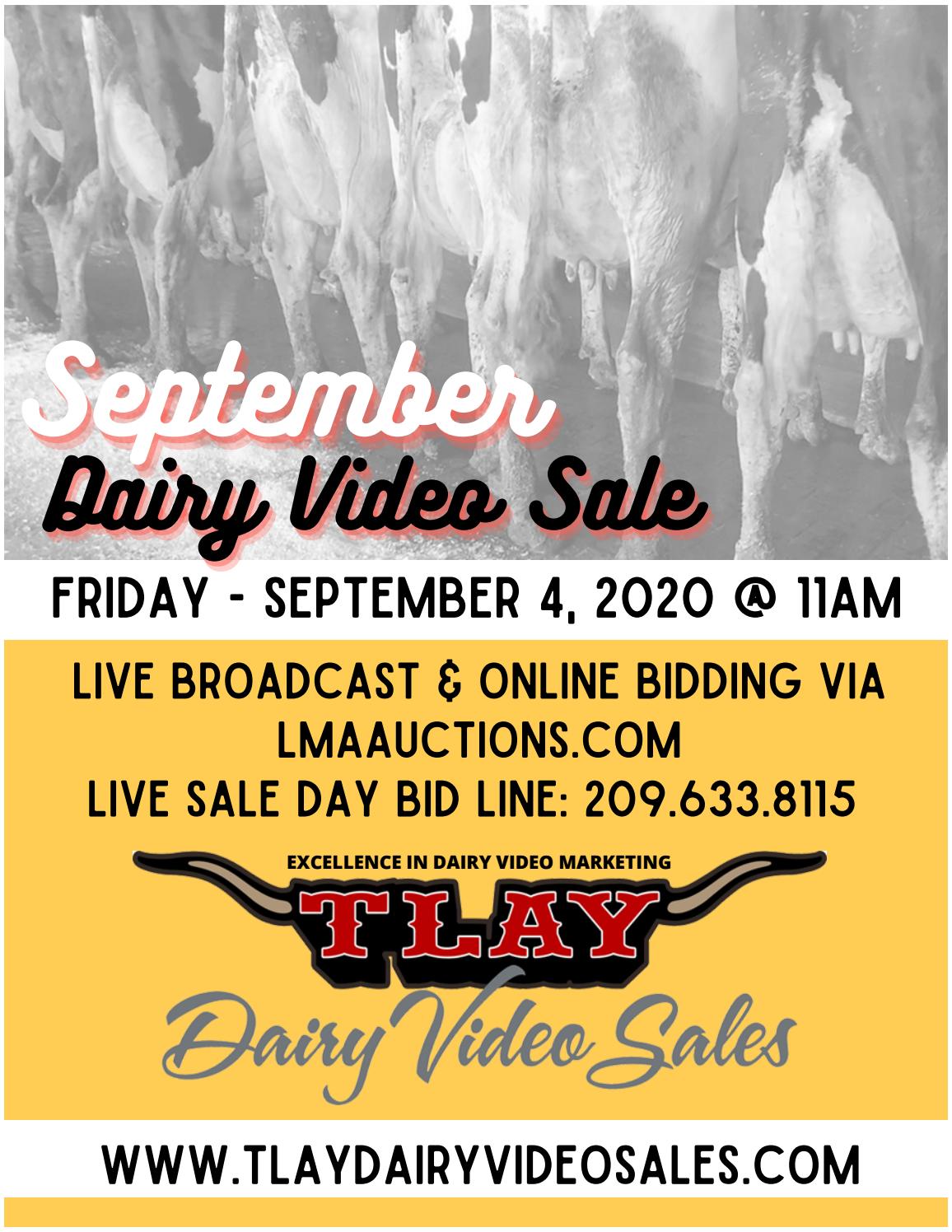 SEPTEMBER 2020 TLAY DVS CATALOG by TURLOCK LIVESTOCK AUCTION YARD - Issuu