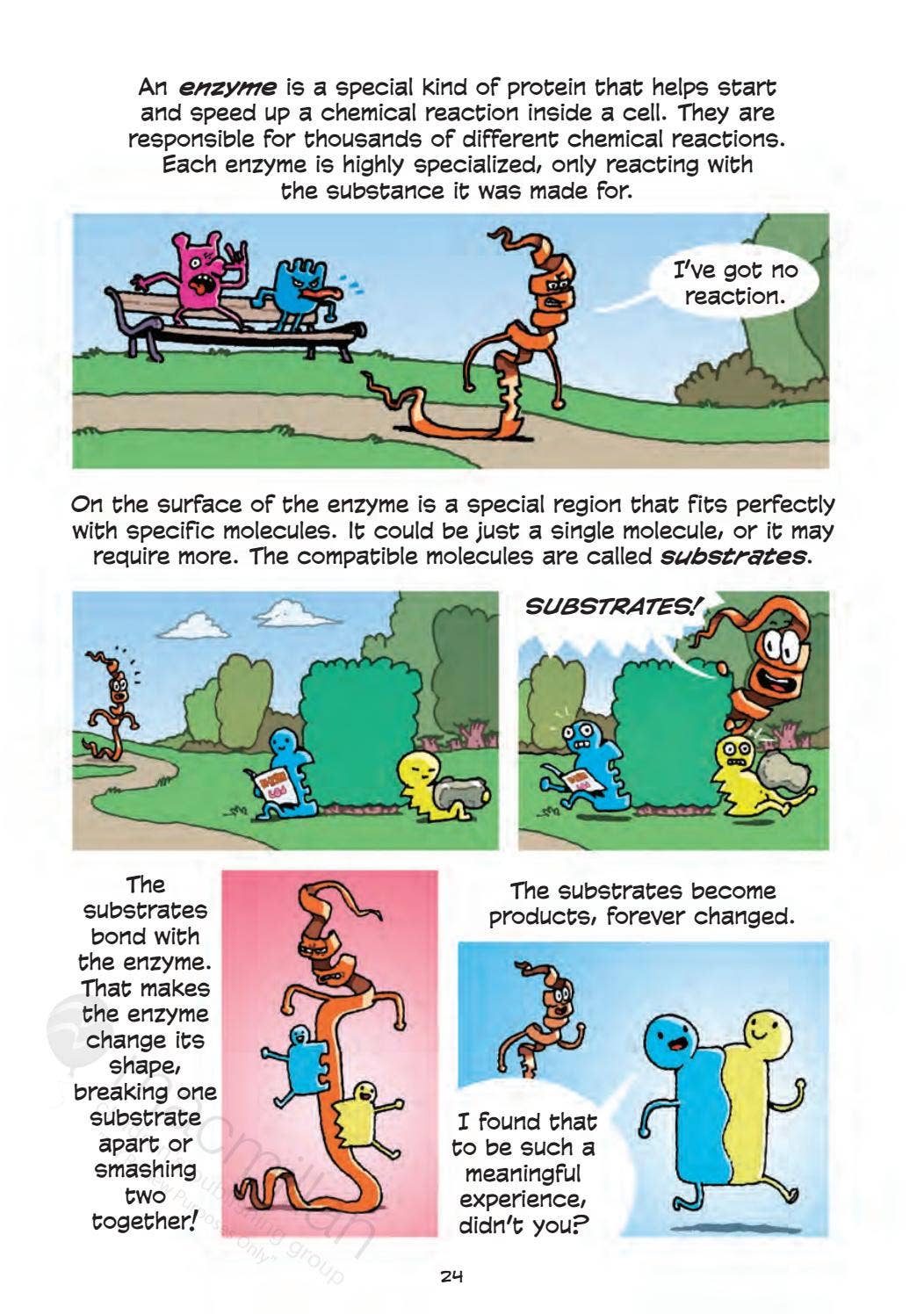 Science Comics: The Digestive System by Macmillan Children's Publishing ...