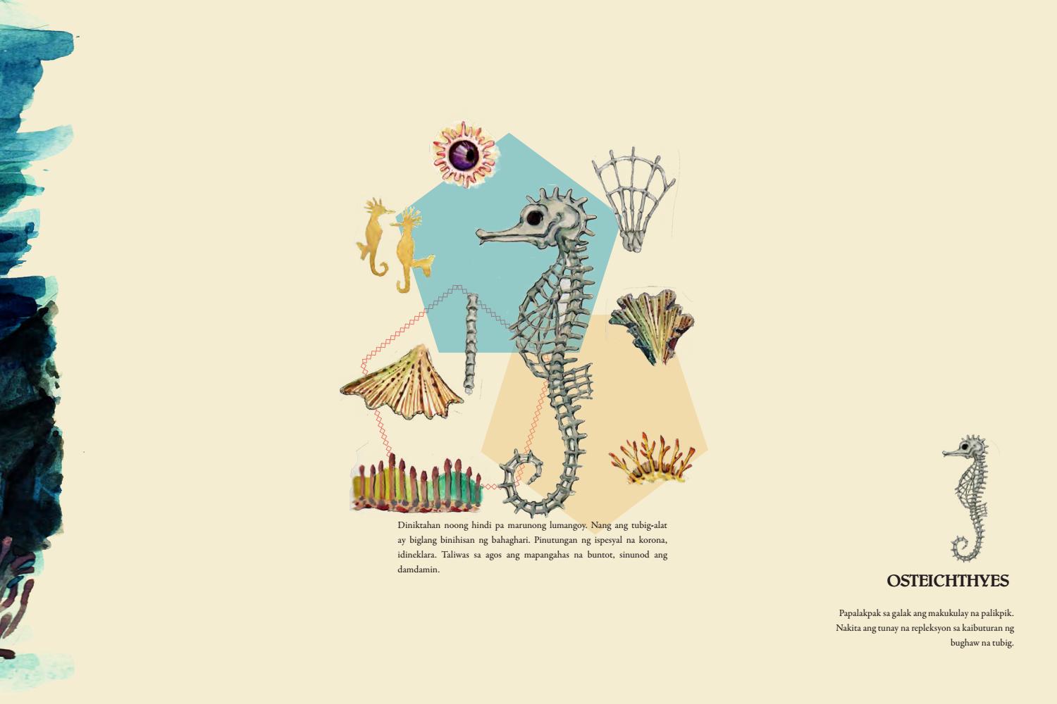 Vertebrata by The Guilds - Issuu