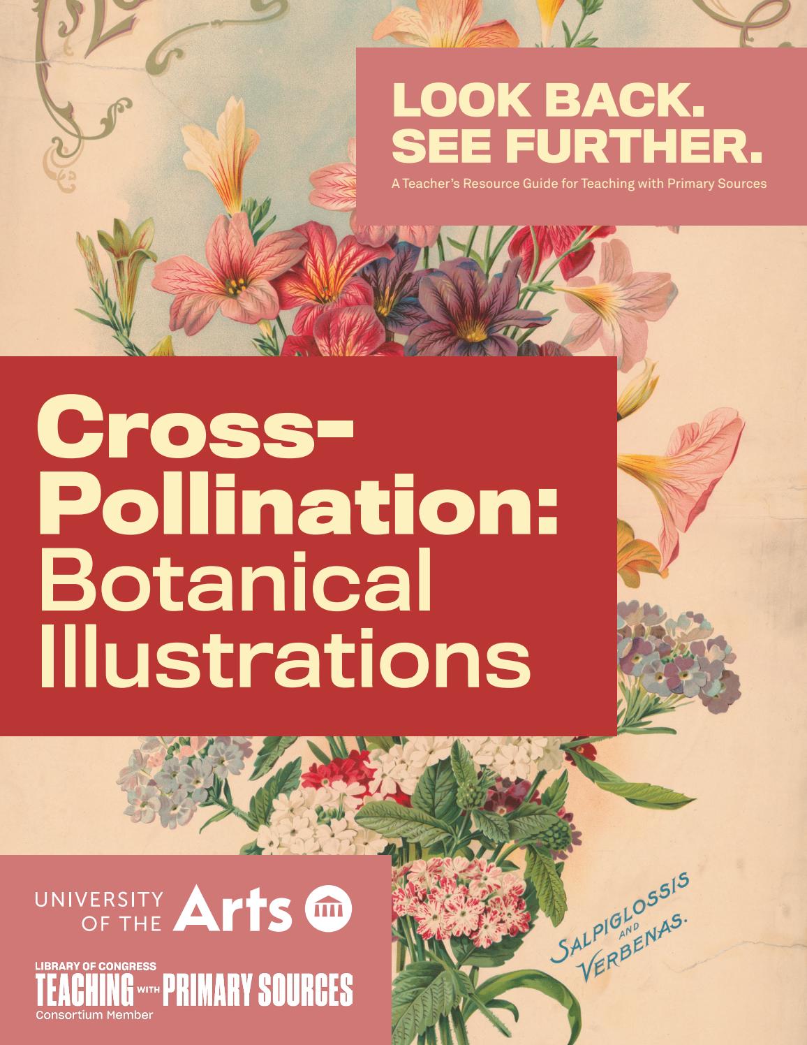 Cross Pollination: Botanical Illustrations by University of the Arts ...