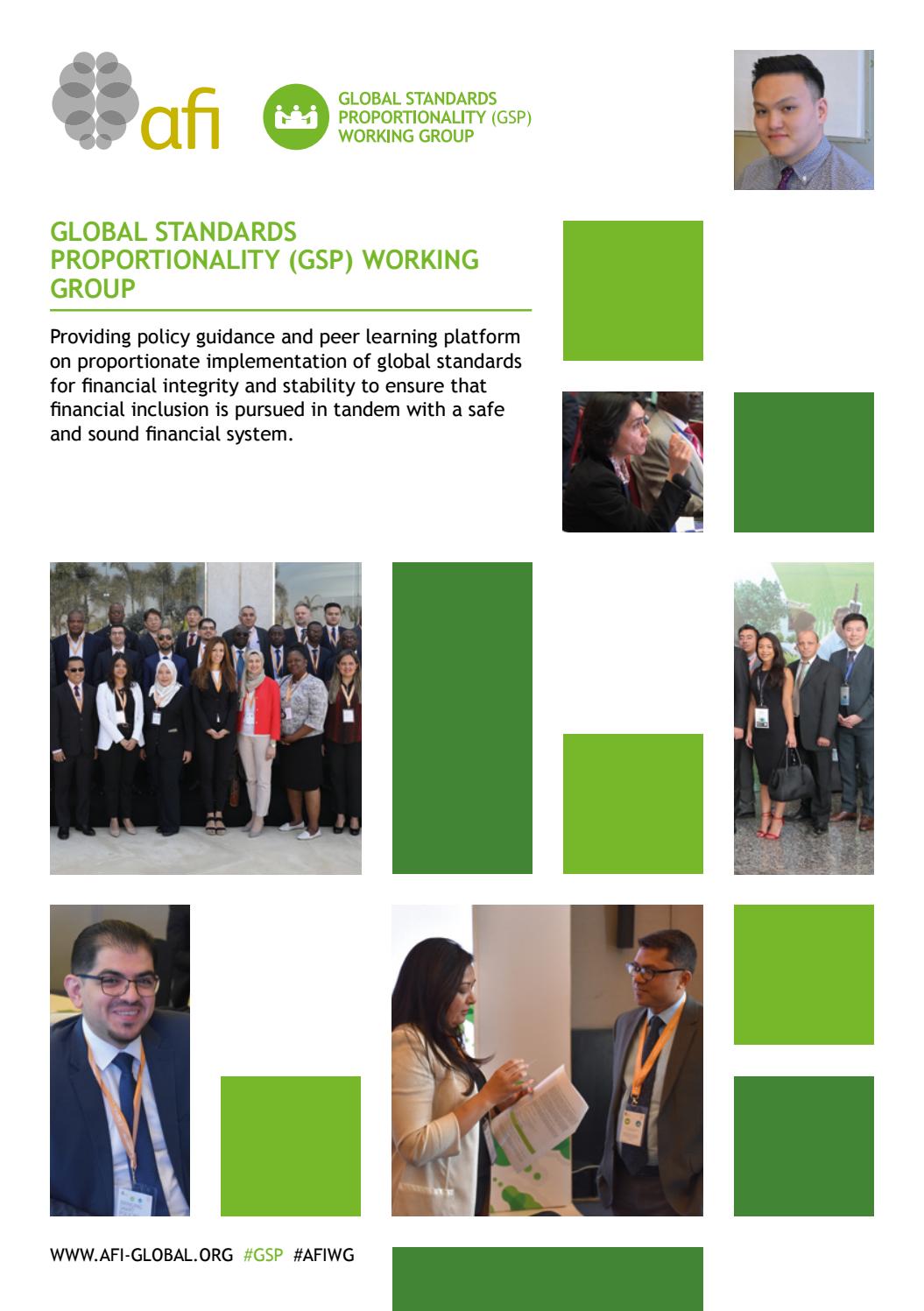 Global Standards Proportionality (GSP) Working Group 2020 Factsheet by ...
