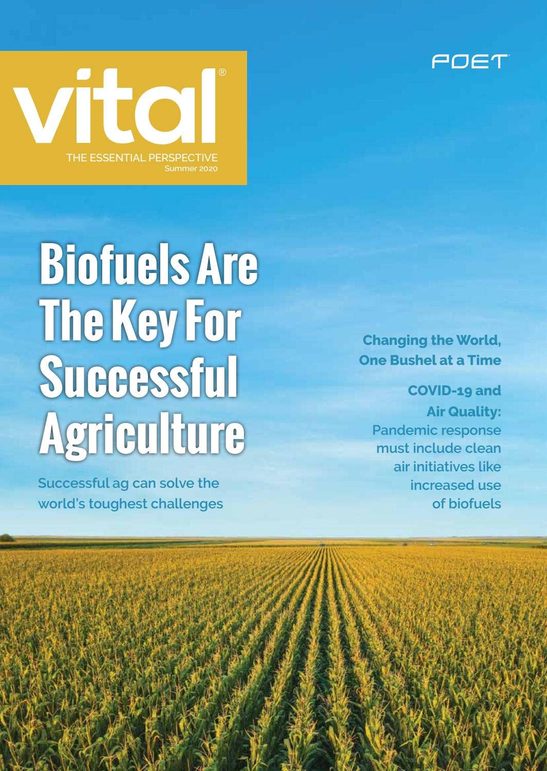 Vital Magazine - Summer 2020 by Vital Magazine - Issuu