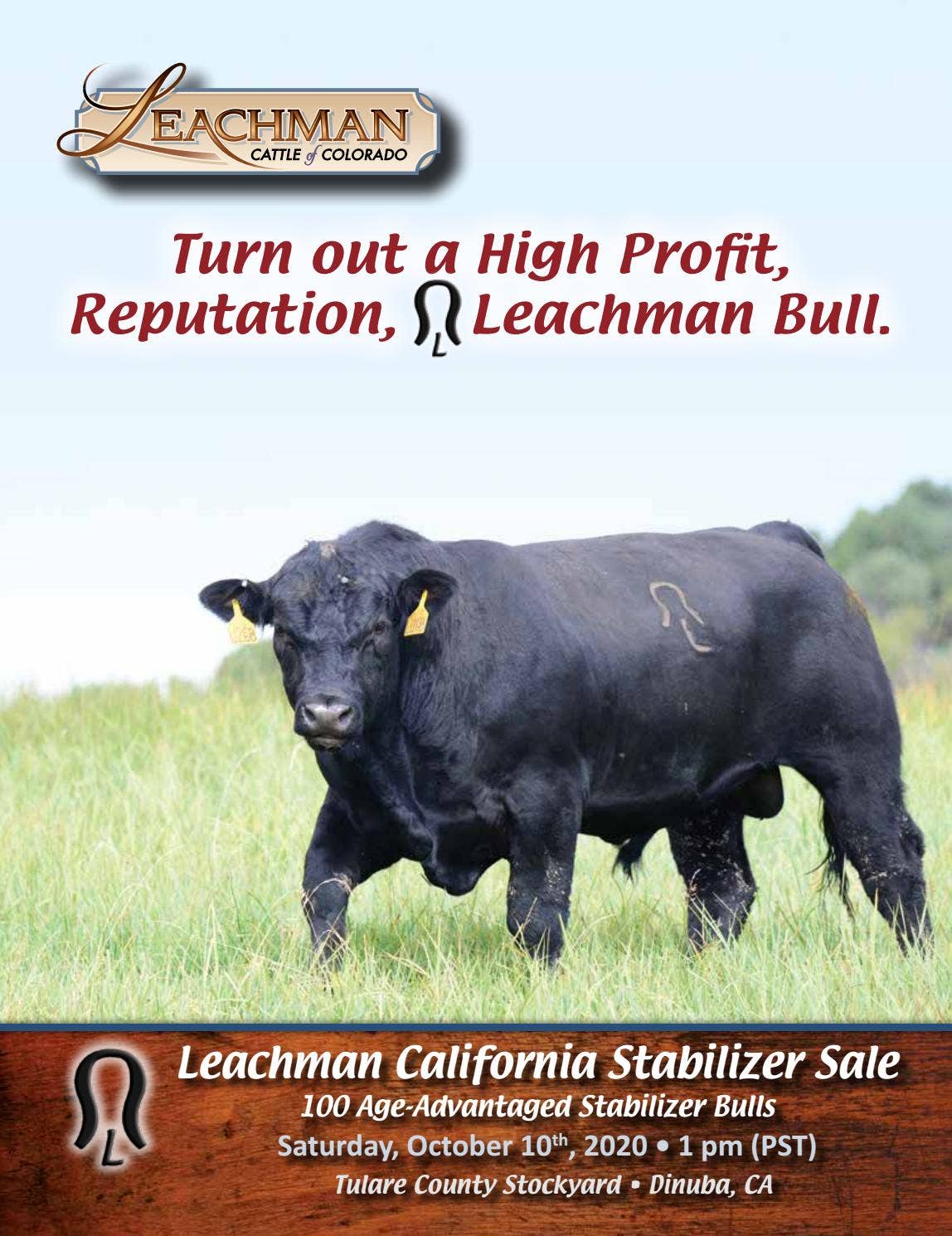 2020 Leachman California Stabilizer Sale by Leachman - Issuu