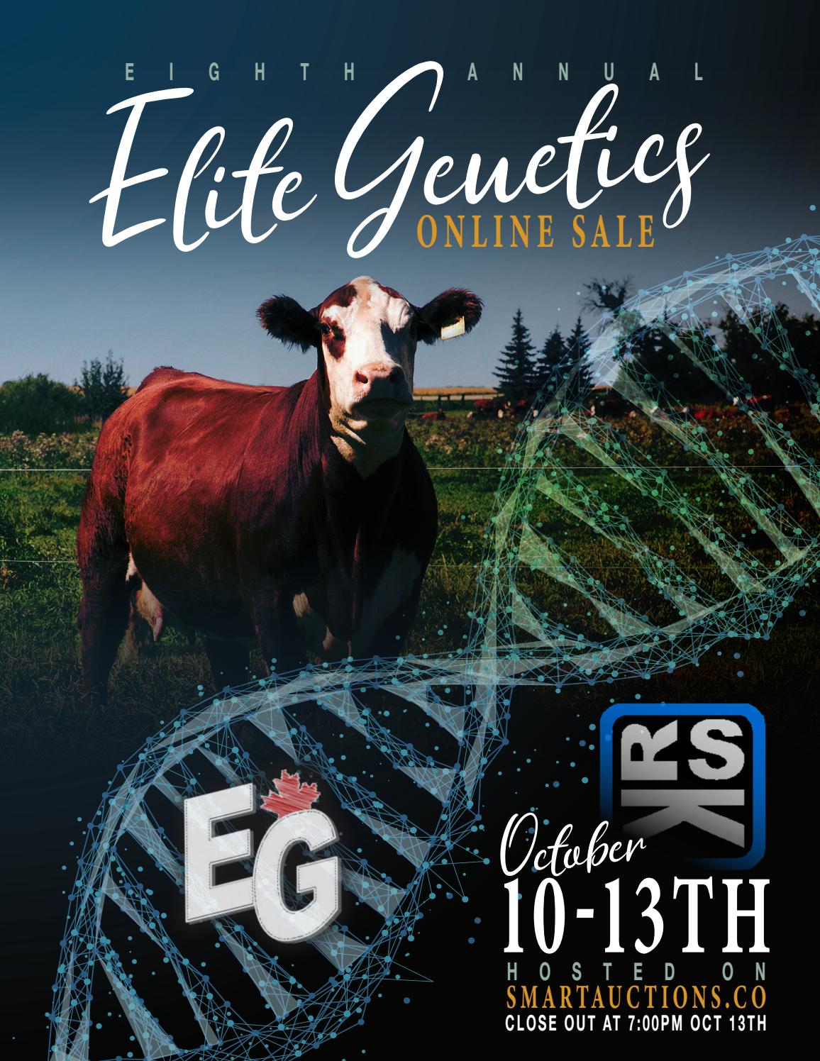 8th Annual Elite Genetics Online Production Sale - October 10-13, 2020 ...