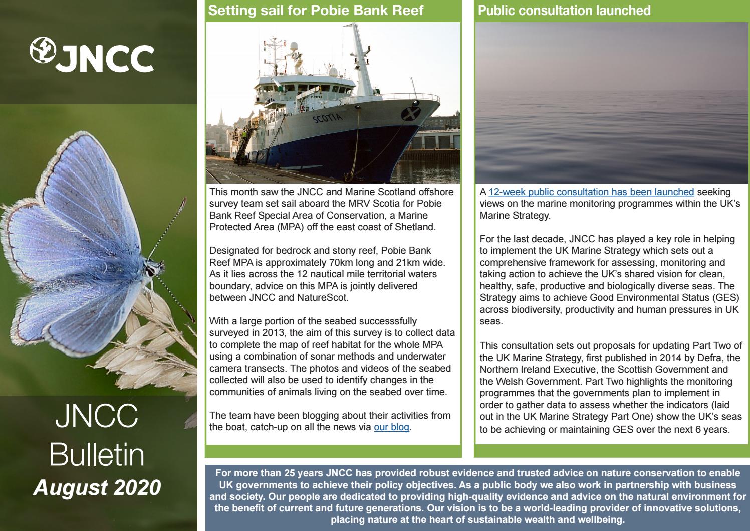 JNCC Bulletin August 2020 by jncc_uk - Issuu