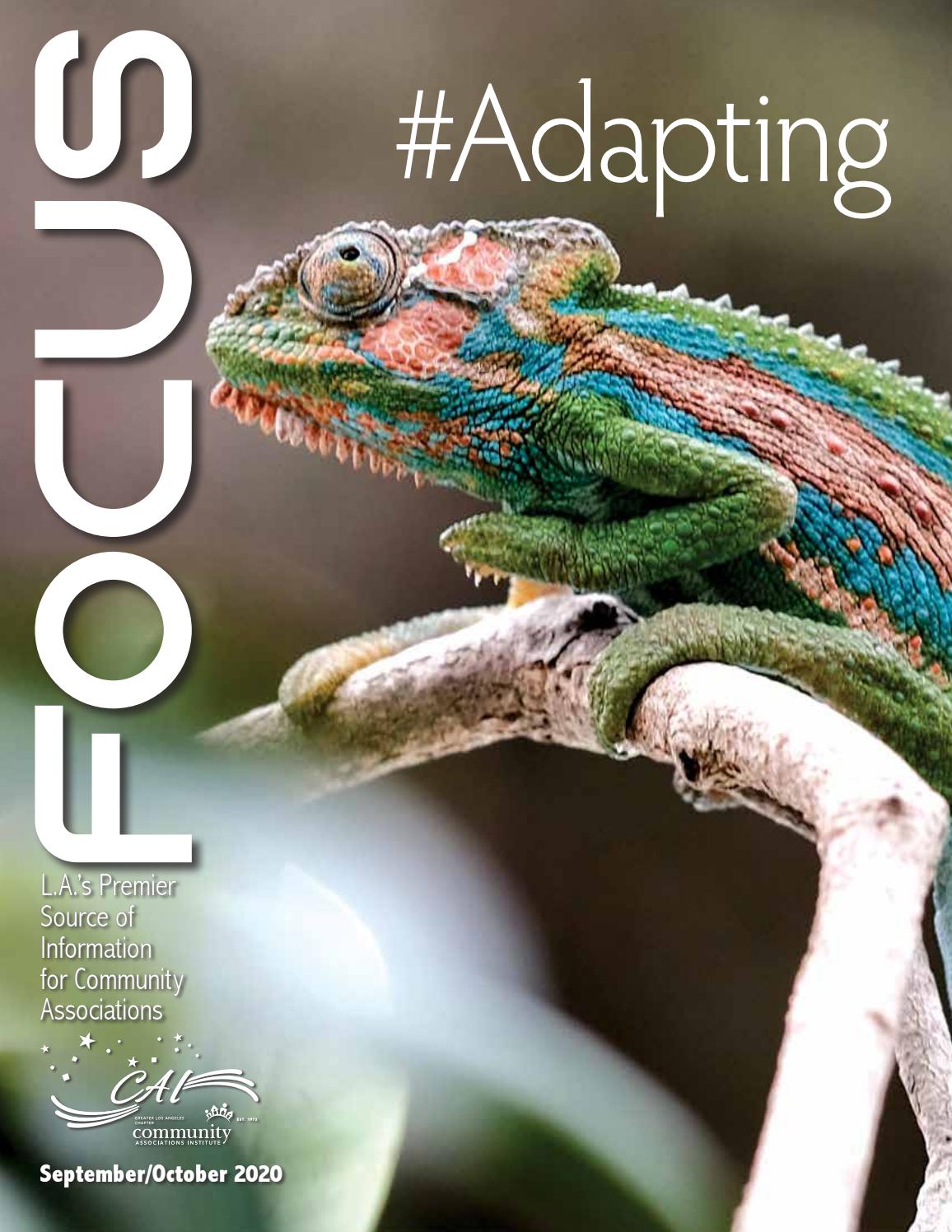 Focus Magazine - September/October 2020 by CAI Greater Los Angeles ...