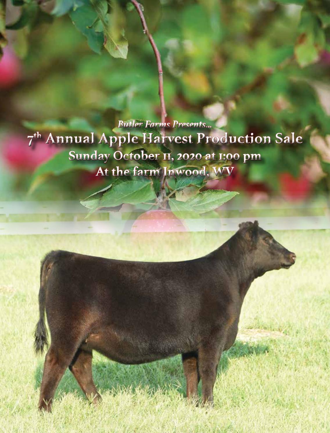 2020 Butler Farms Apple Harvest Sale by Nick Dwyer - Issuu