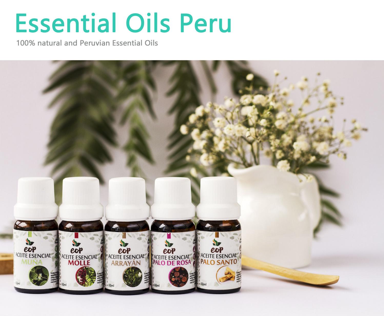 Peruvian Essential Oils from biodiversity by EssentialOilsPeru - Issuu
